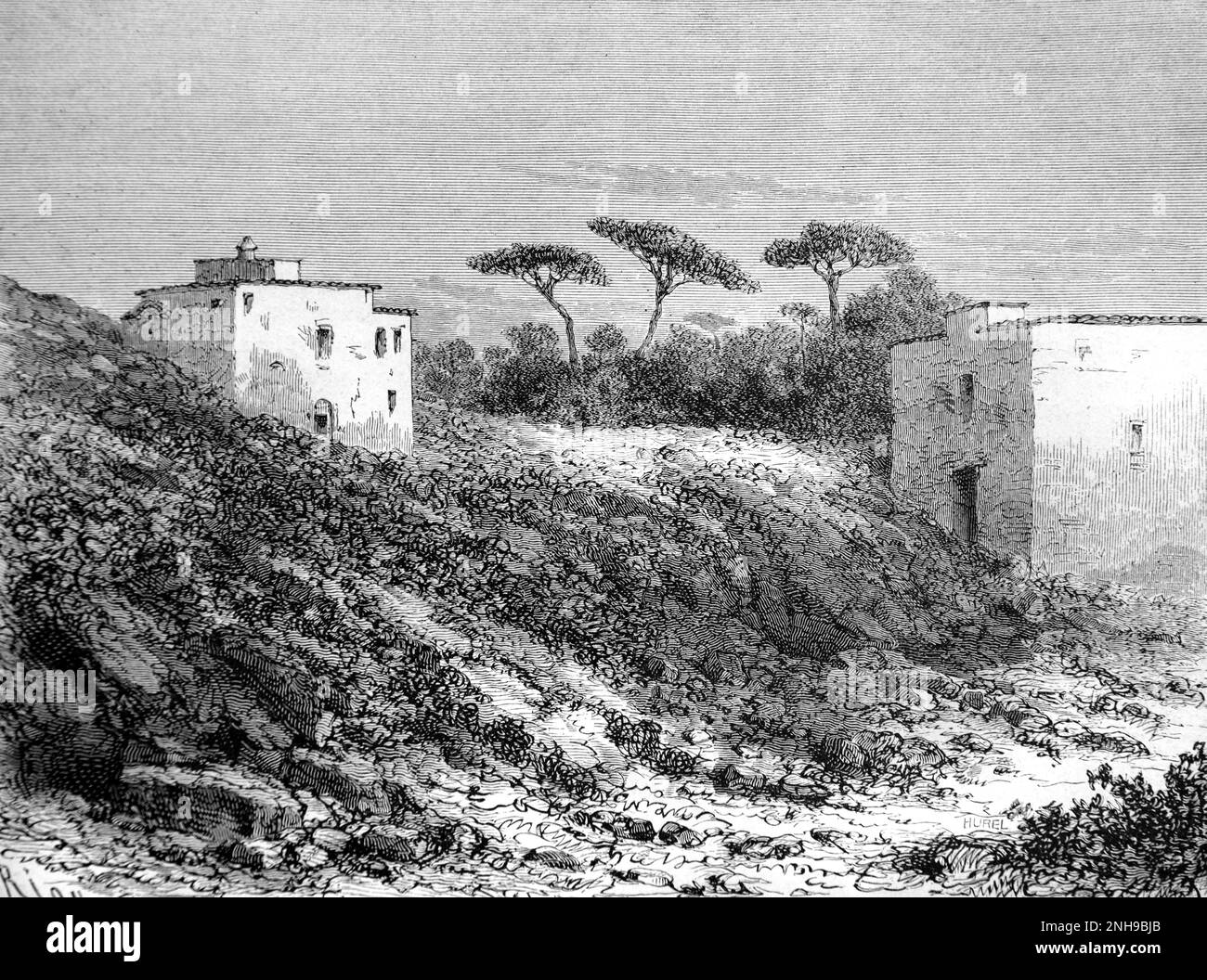 Eruption of Mount Vesuvius Volcano and Lava Flows in 1858 Naples Italy ...