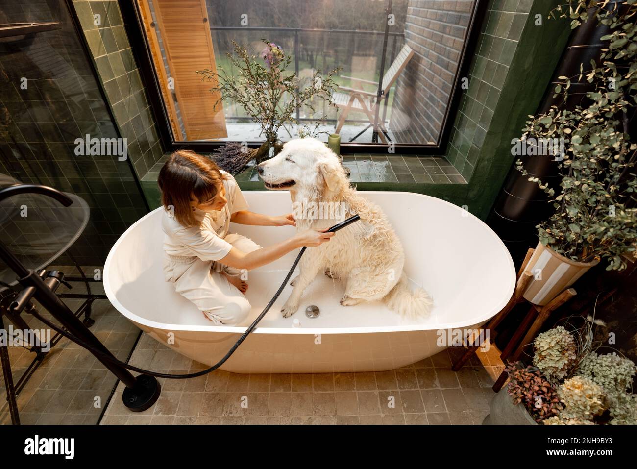 Woman washes her dog in bathtub at home Stock Photo - Alamy