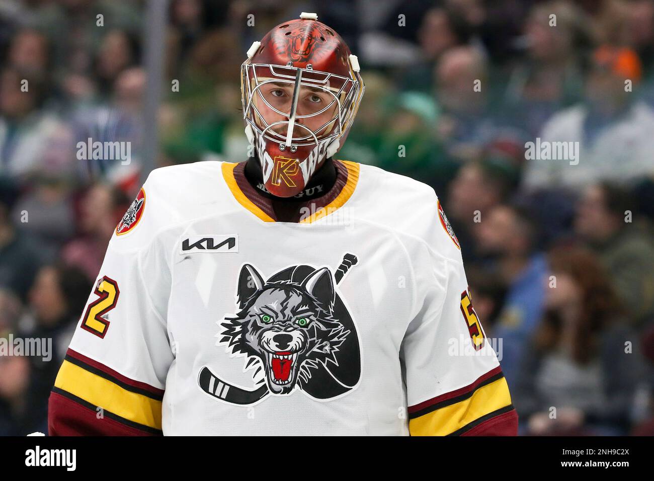 CLEVELAND, OH - FEBRUARY 04: Chicago Wolves goalie Pyotr Kochetkov (52) on the ice during the ...