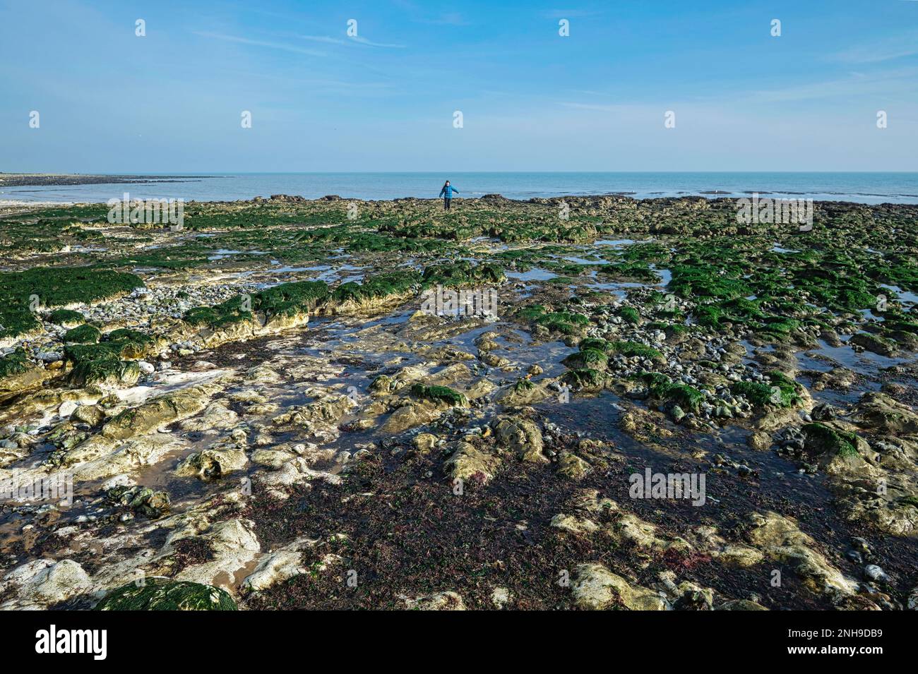 Chalk rock pools in Stone Bay, Broadstairs, kent in Winter Stock Photo ...