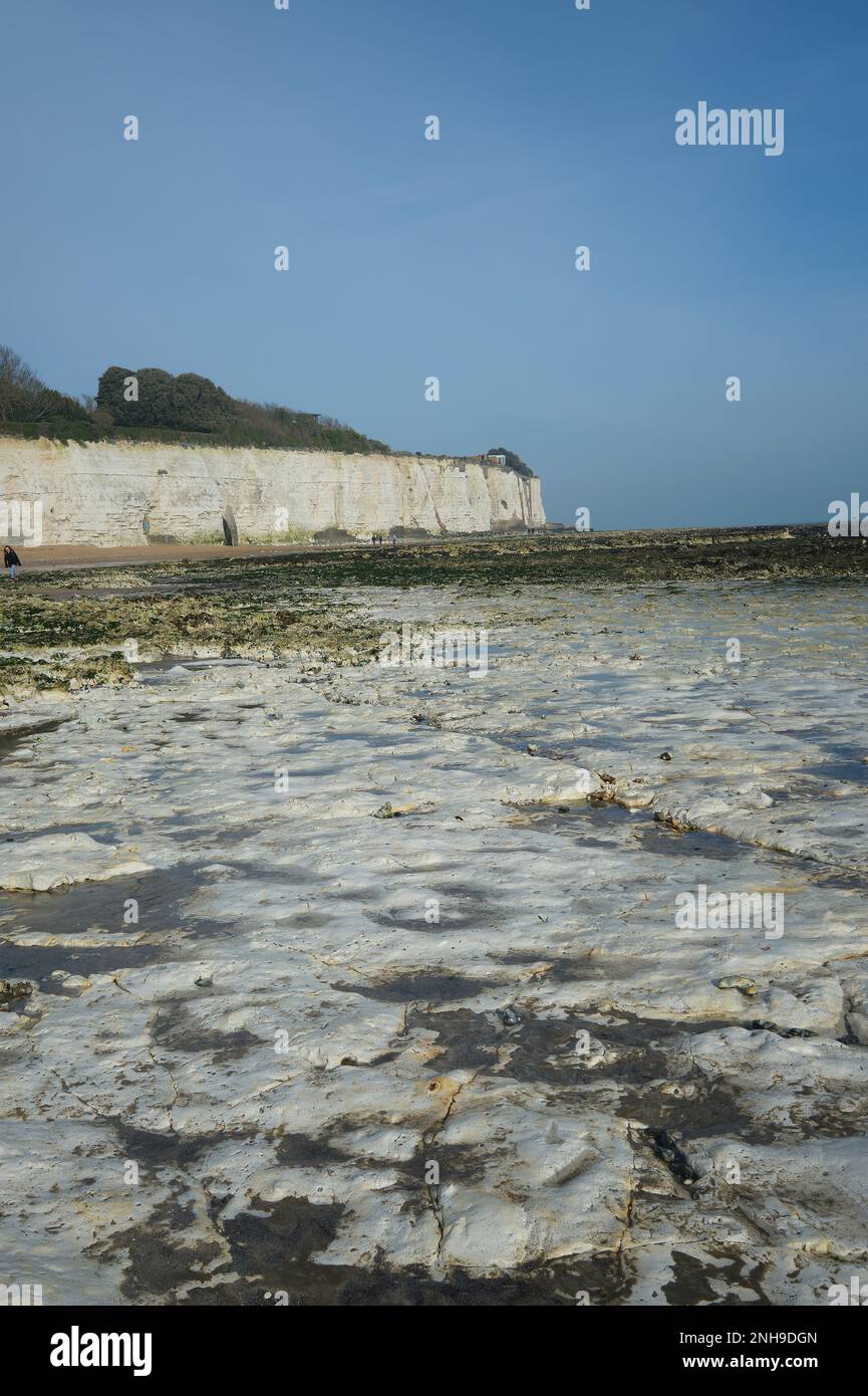 Chalk rock pools in Stone Bay, Broadstairs, kent in Winter Stock Photo ...