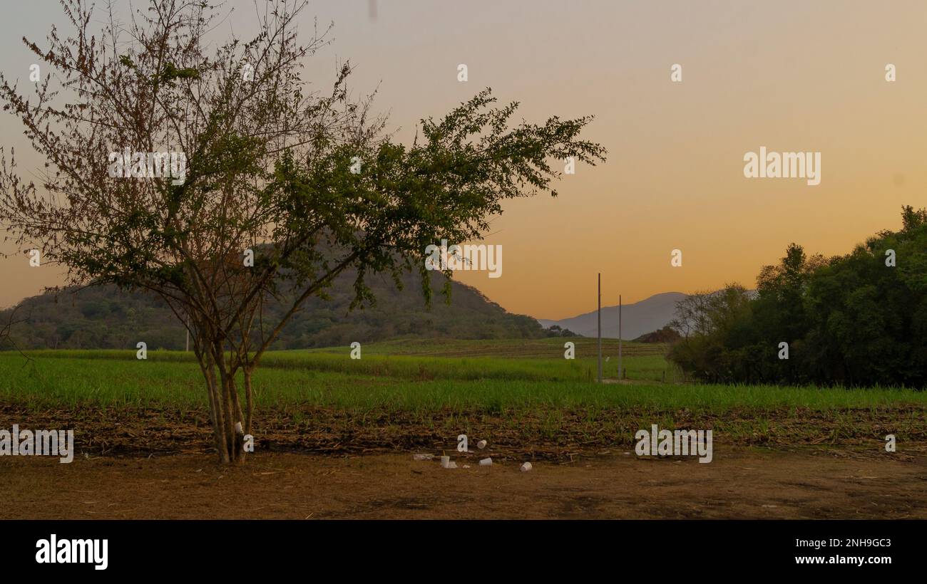 Polluted sunset hi-res stock photography and images - Alamy