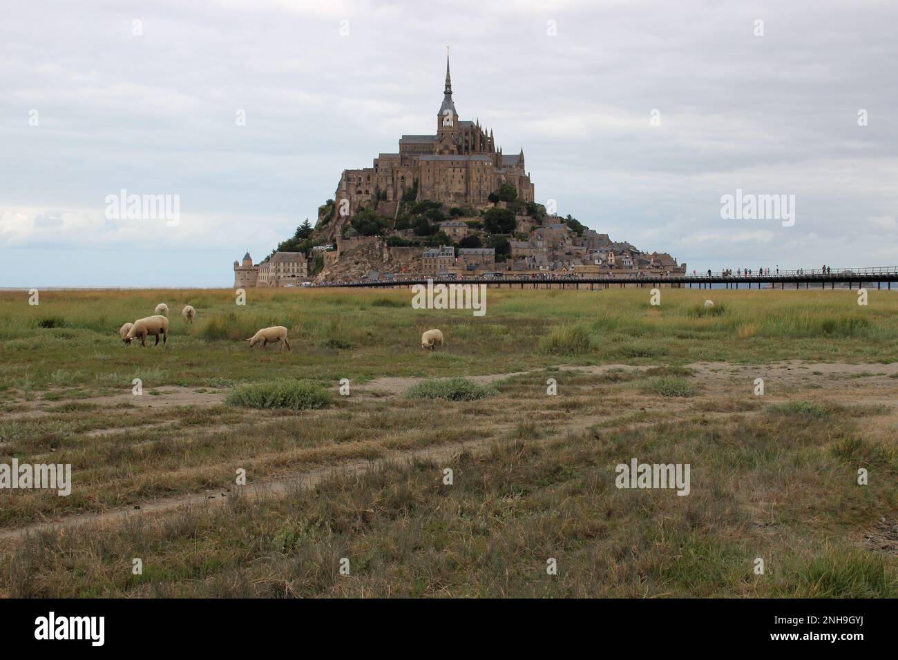 bay at le mont-saint-michel in normandy (france Stock Photo - Alamy