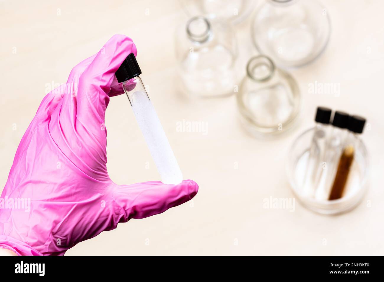 gloved hand holds closed test tube with white translucent liquid over ...
