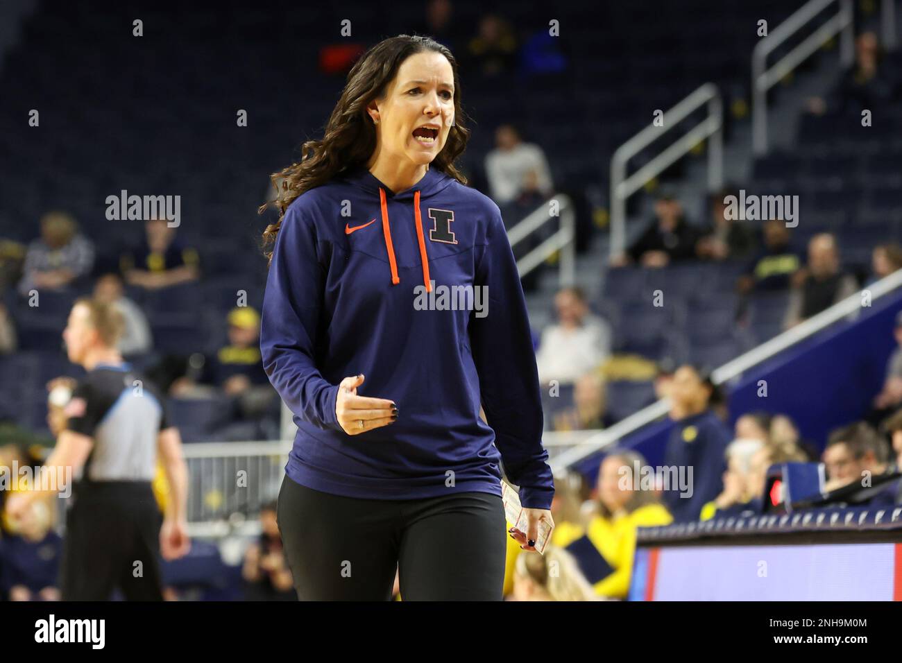 ANN ARBOR, MI - FEBRUARY 02: Illinois Fighting Illini head coach Shauna ...