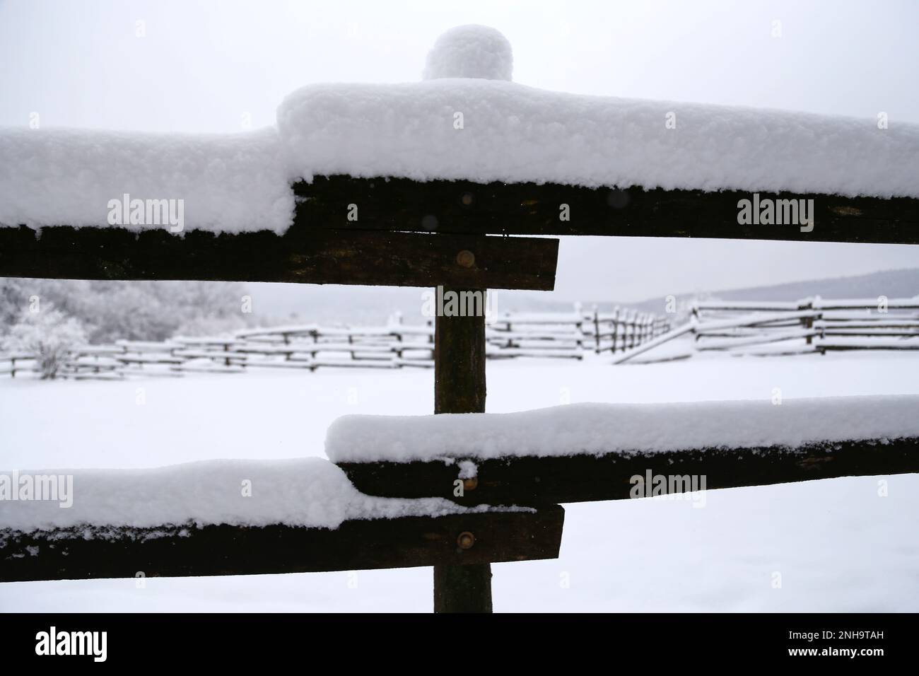 Closeup of snowy corral poles as a winter background Stock Photo - Alamy