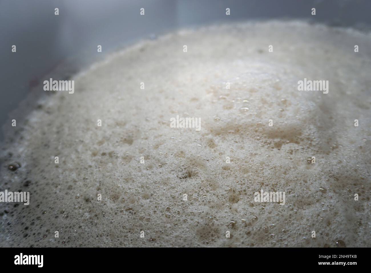 Beer yeast foam - alcohol fermentation process Stock Photo - Alamy