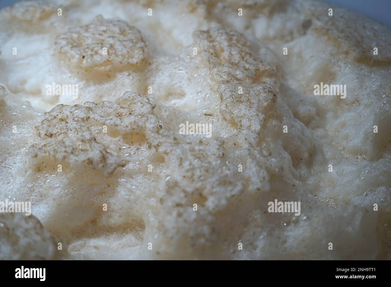 Beer yeast foam - alcohol fermentation process Stock Photo - Alamy