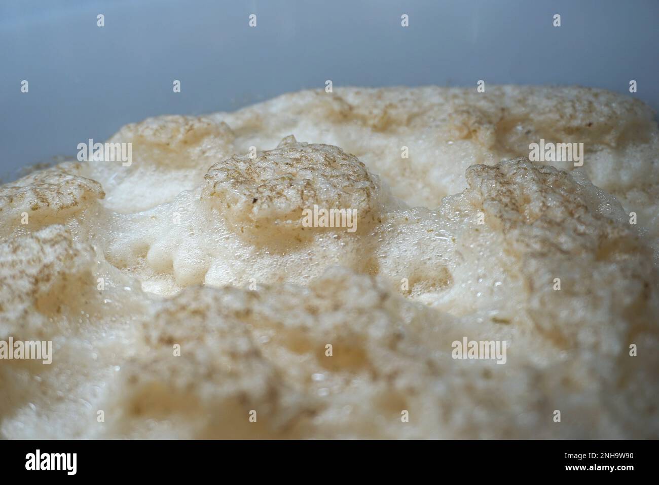 Beer yeast foam - alcohol fermentation process Stock Photo - Alamy