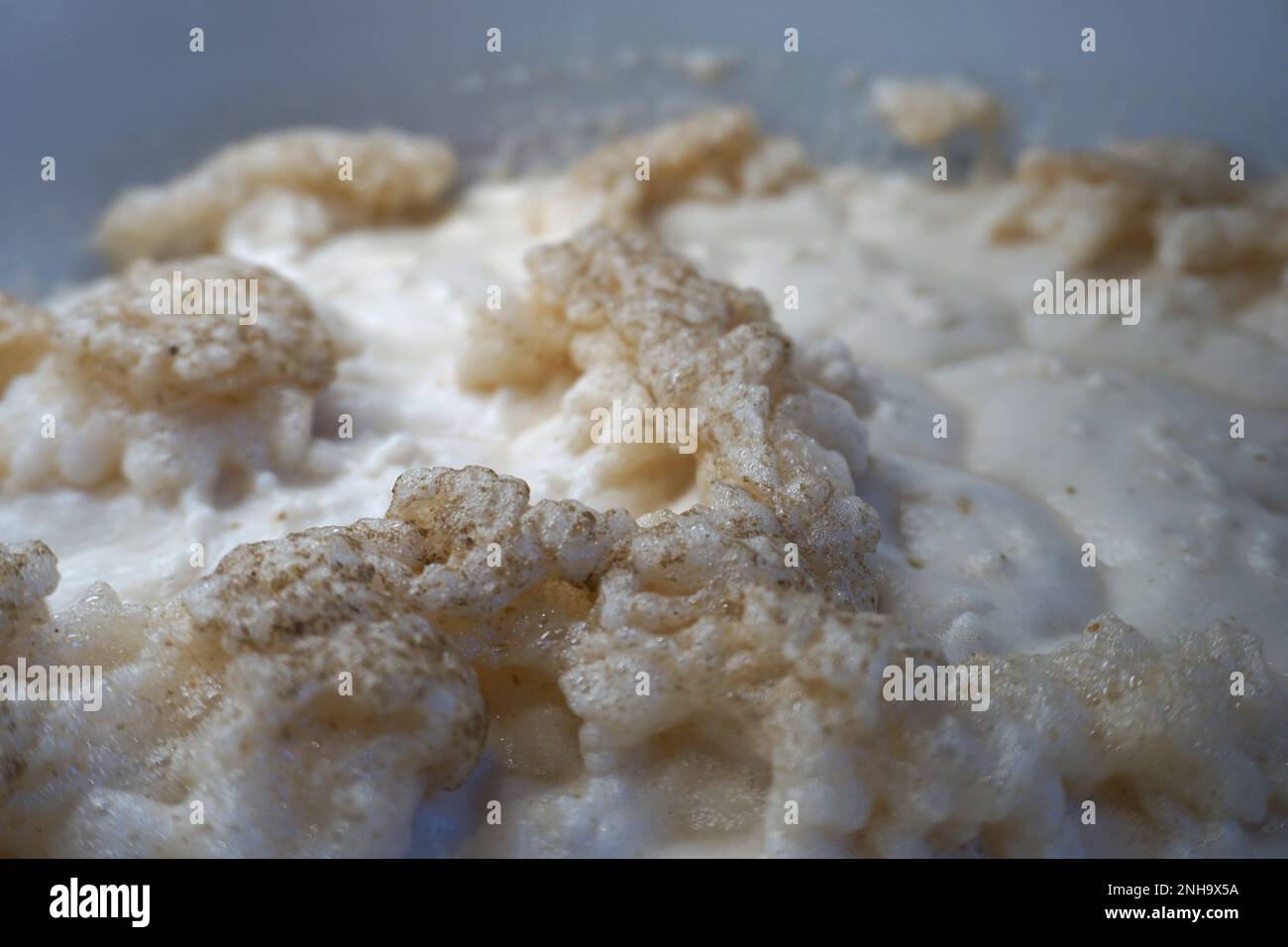 Beer yeast foam - alcohol fermentation process Stock Photo - Alamy