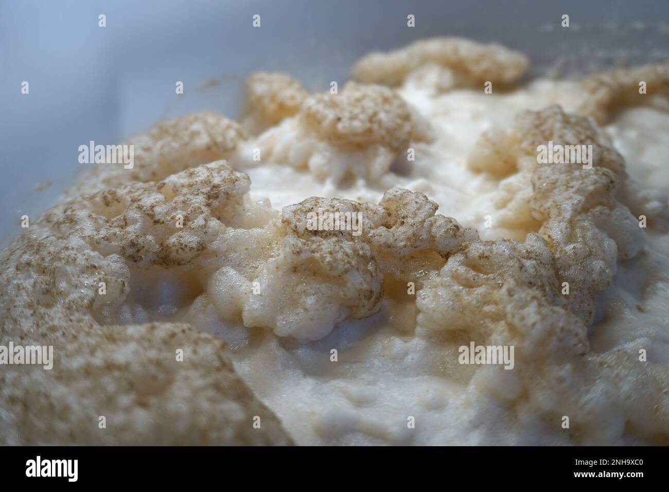 Beer yeast foam - alcohol fermentation process Stock Photo - Alamy