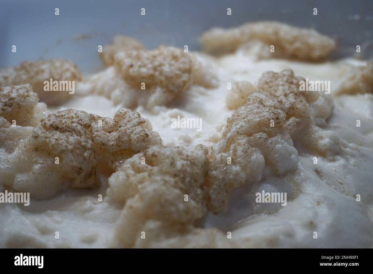 Beer yeast foam - alcohol fermentation process Stock Photo - Alamy