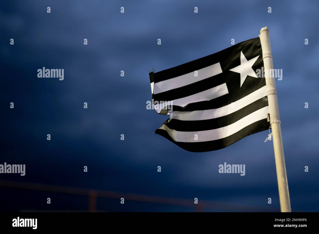 RJ - Rio de Janeiro - 02/01/2023 - CARIOCA 2023, BOTAFOGO X NOVA IGUACU ...