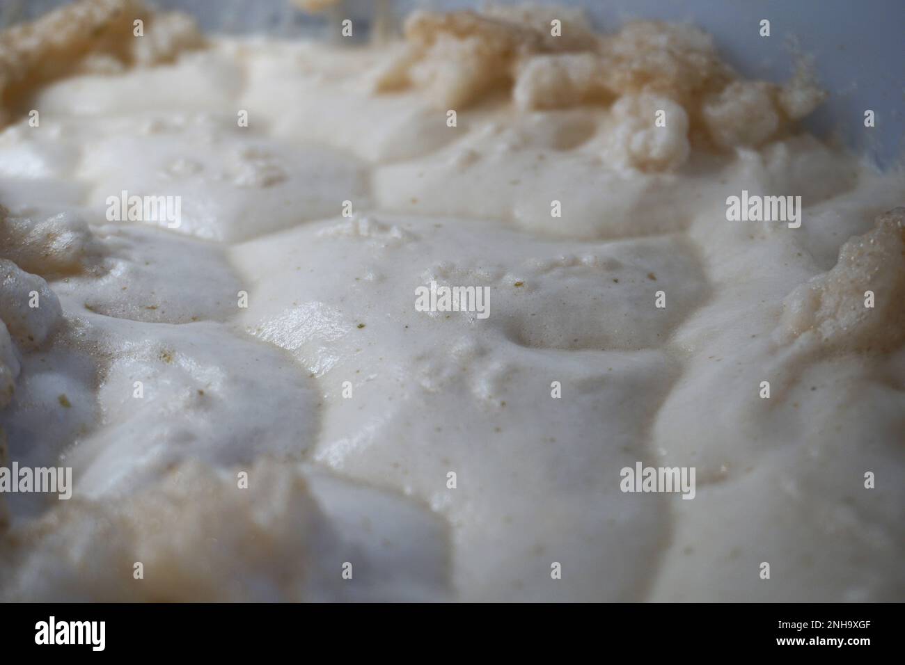 Beer yeast foam - alcohol fermentation process Stock Photo - Alamy