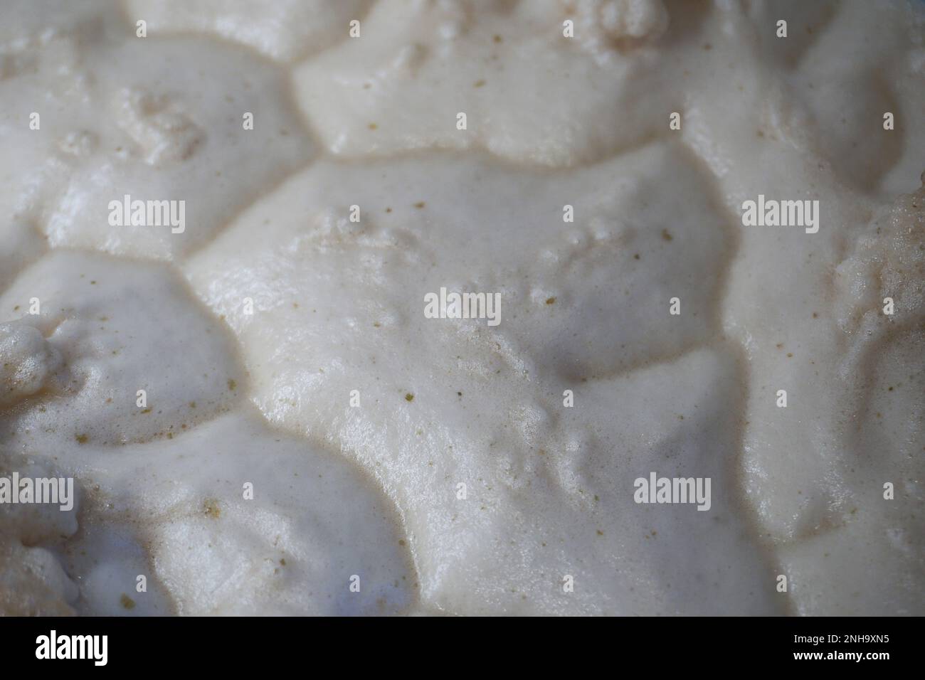 Beer yeast foam - top view - alcohol fermentation process Stock Photo ...