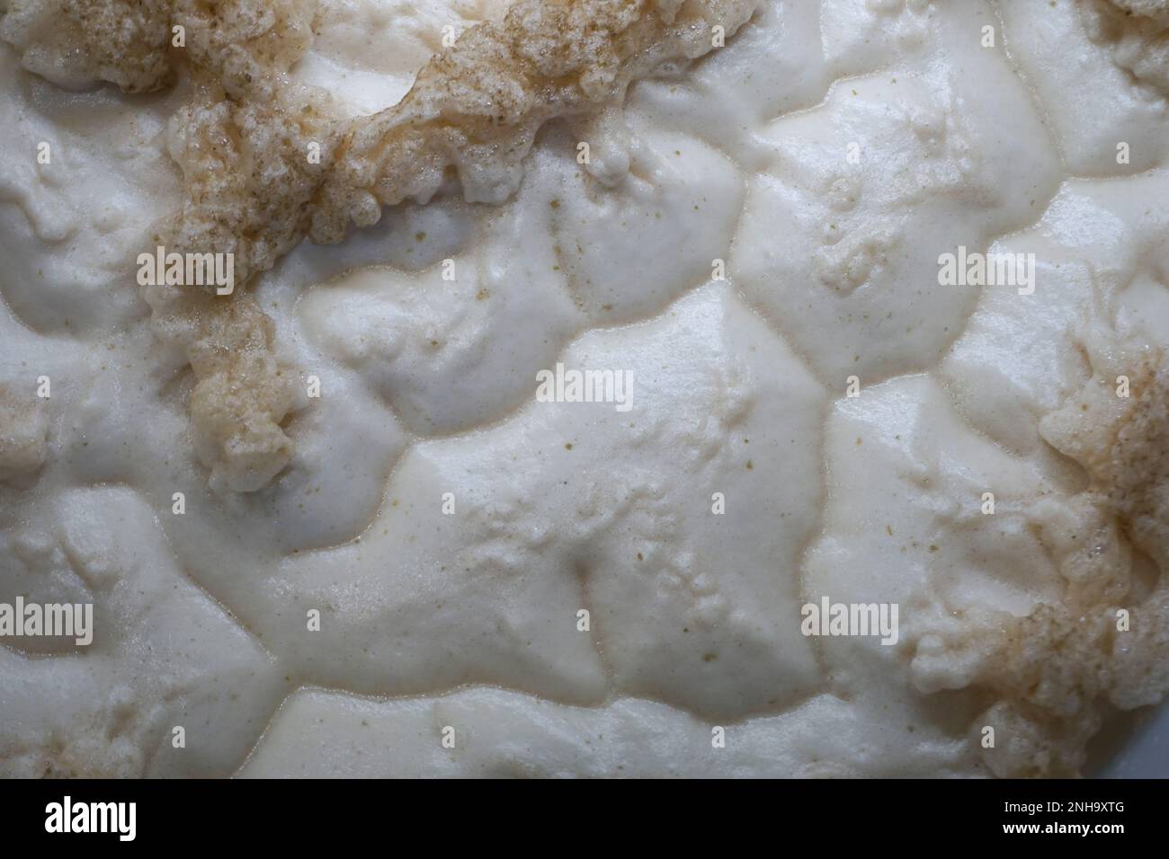 Beer yeast foam - top view - alcohol fermentation process Stock Photo ...