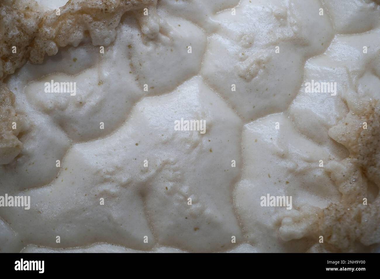 Beer yeast foam - top view - alcohol fermentation process Stock Photo ...