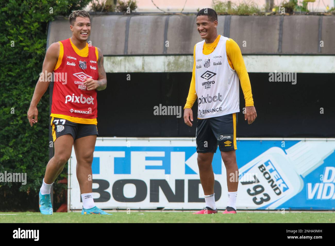 SP - Santos - 01/31/2023 - SANTOS FC, TRAINING - Santos players Marcos ...