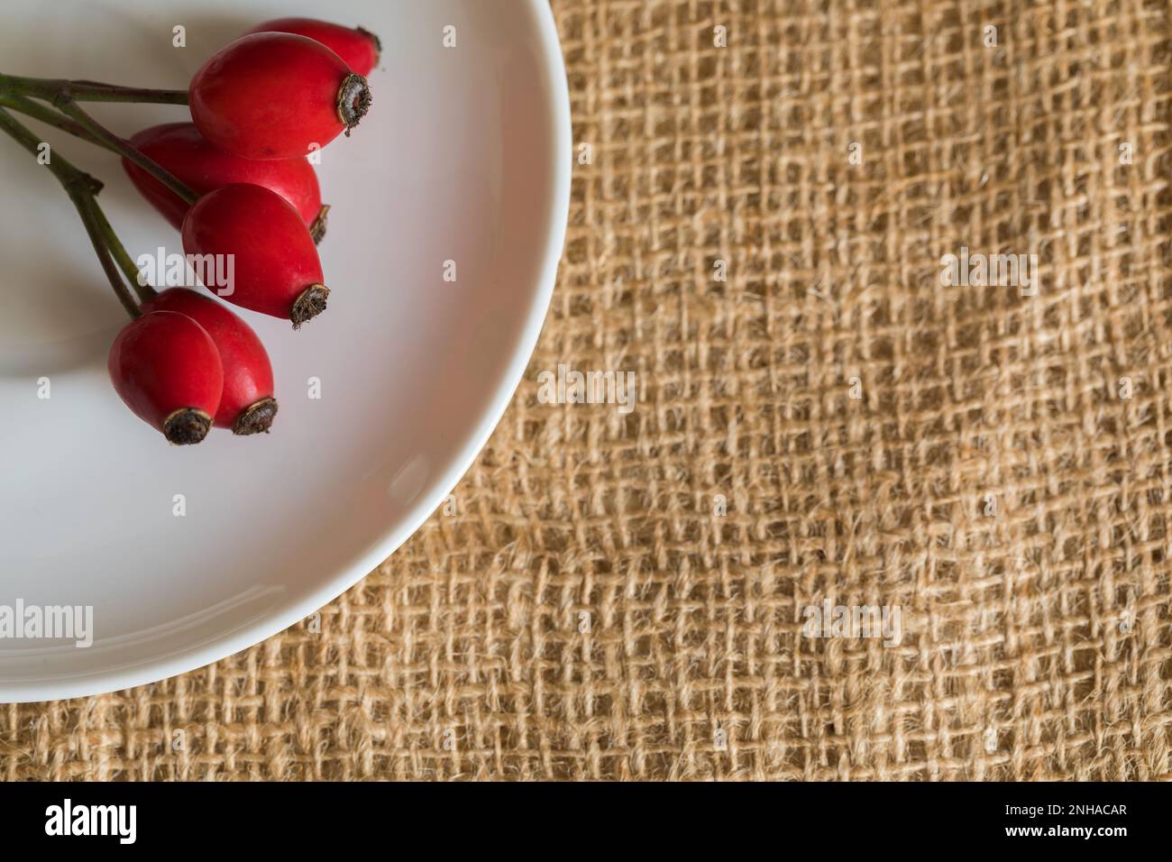Ripe rose hips harvested for making preserves for the winter, close-up ...