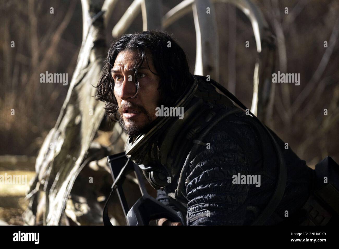 Ariana greenblatt hi-res stock photography and images - Alamy