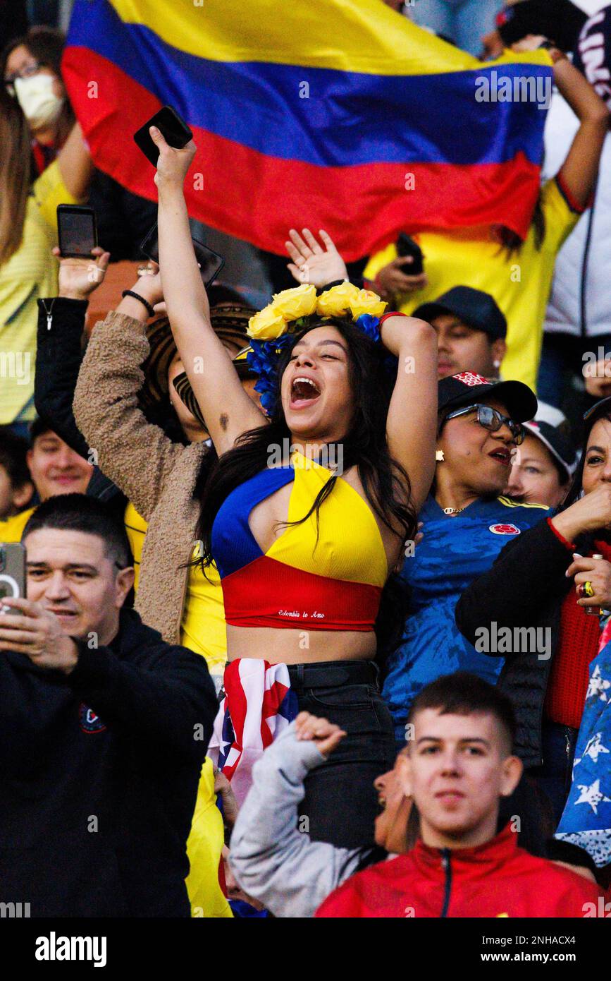 LOS ANGELES, CA - JANUARY 28: Colombia fan cheers during the ...