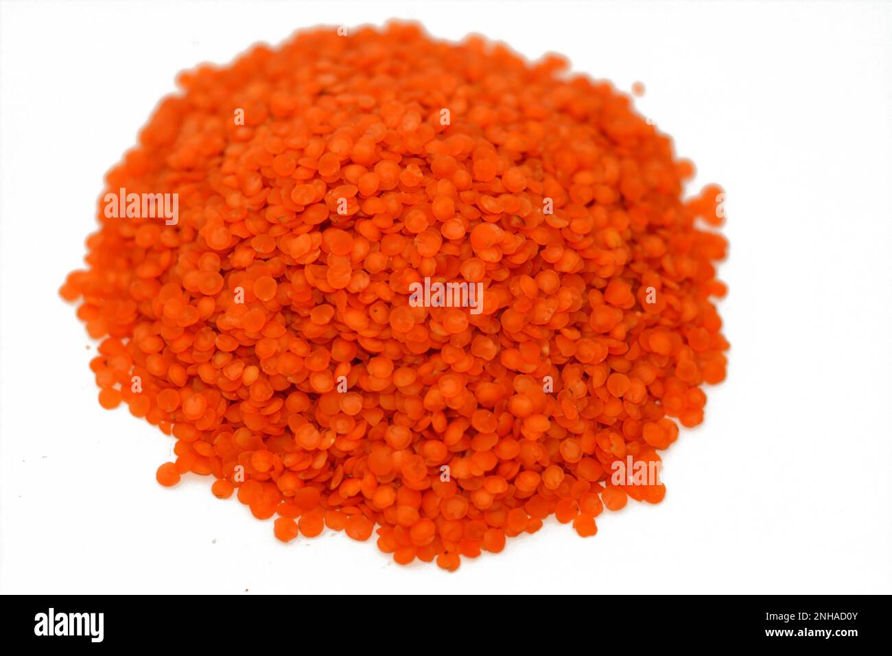 Red lentils, The lentil (Lens culinaris or Lens esculenta), an edible ...