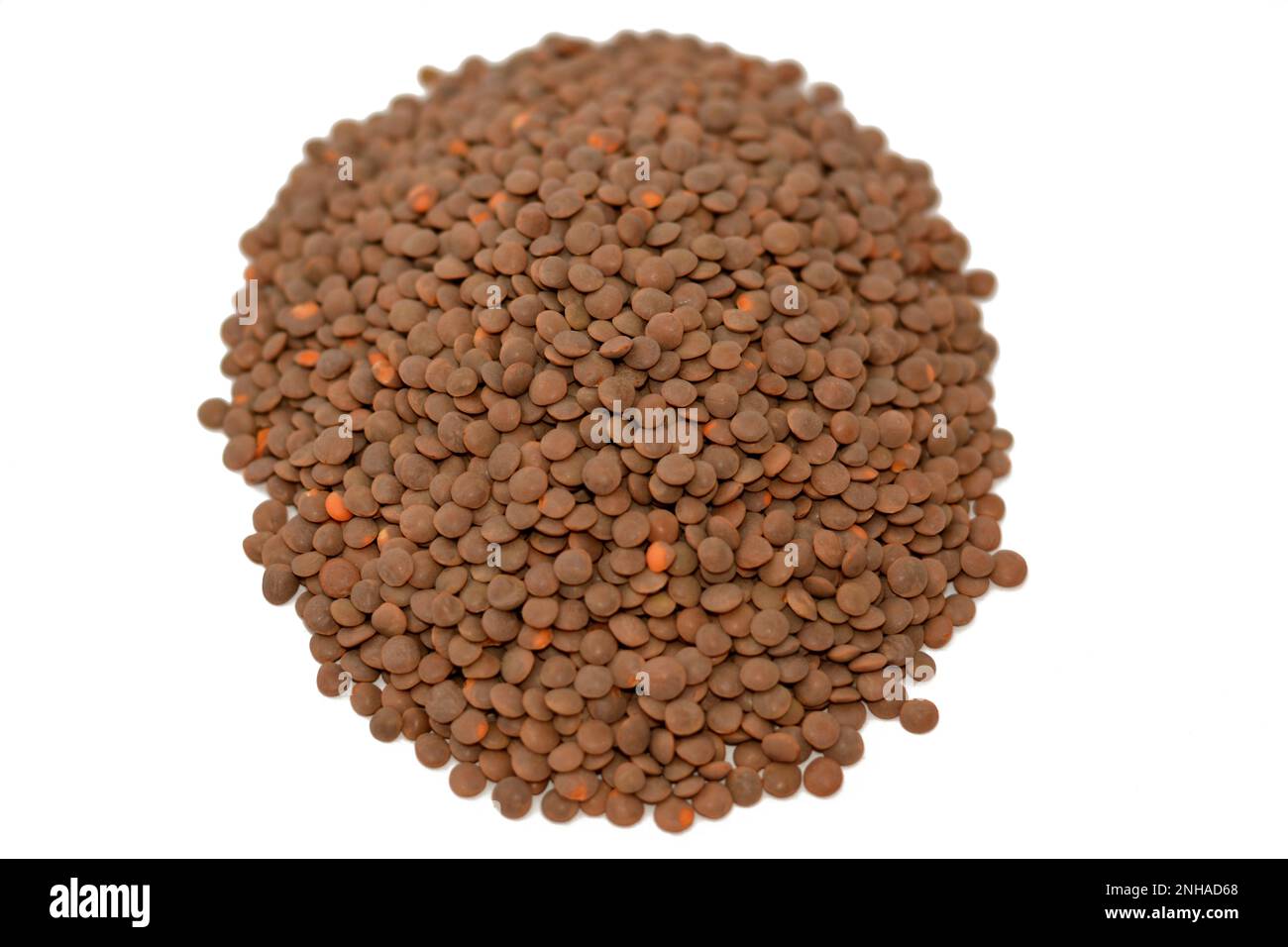 Brown lentils, The lentil (Lens culinaris or Lens esculenta), an edible ...
