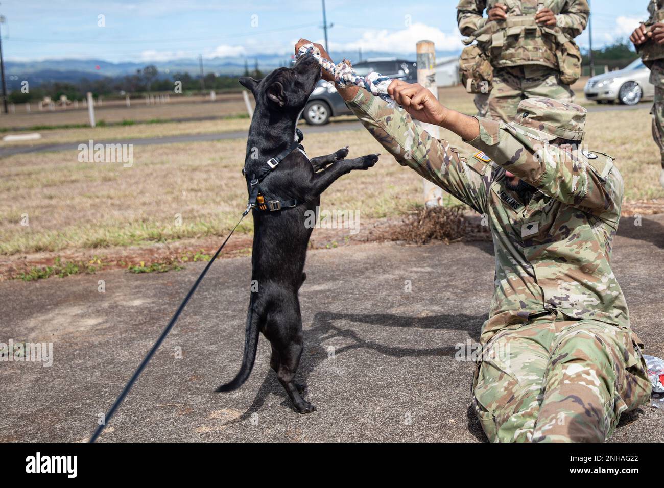 U.S. Army Soldiers from the 325th Brigade Support Battalion, 3rd ...