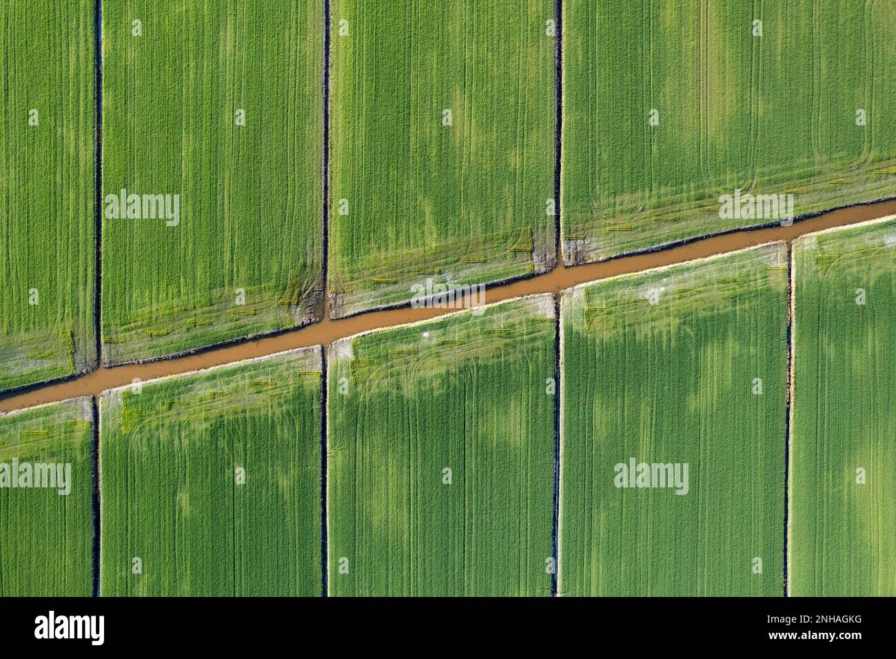 Aerial photographic documentation of the giometric shapes of the ...