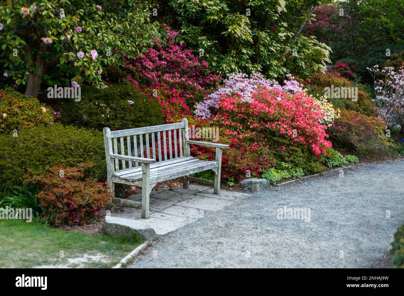 Garden with blooming trees during spring time Stock Photo - Alamy