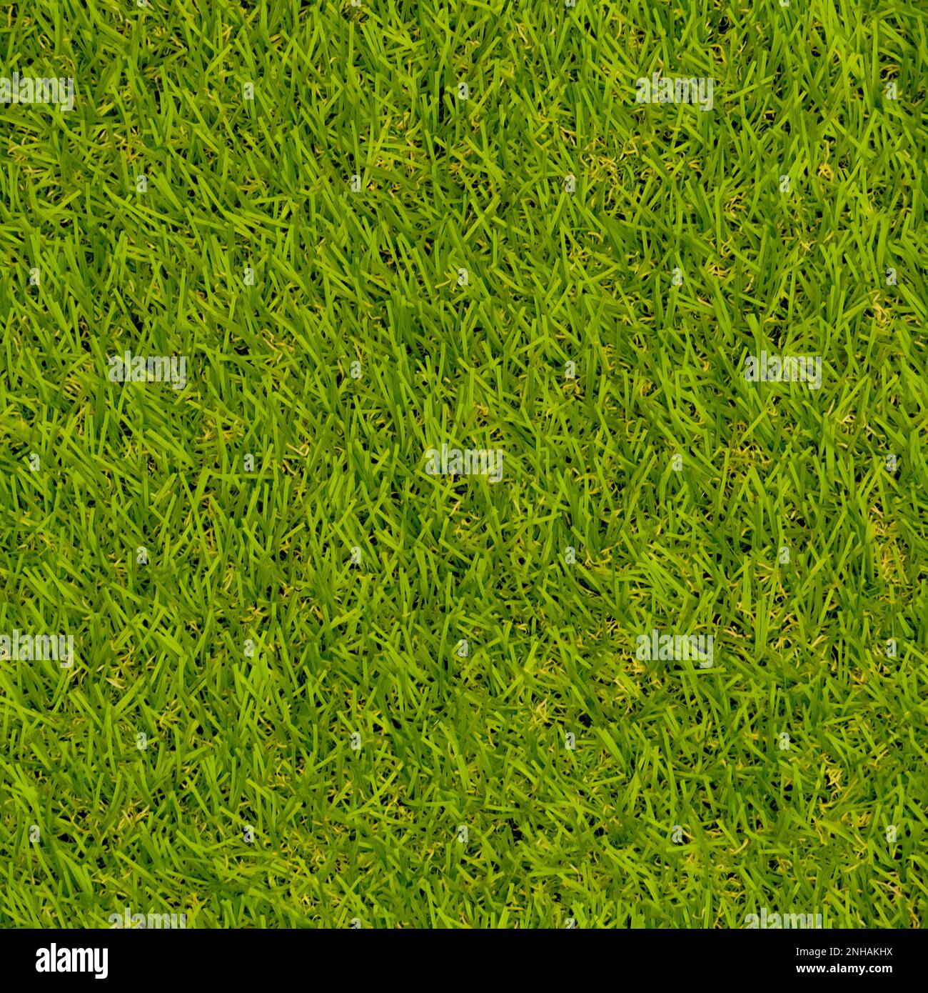 Grass texture background from above Stock Photo - Alamy