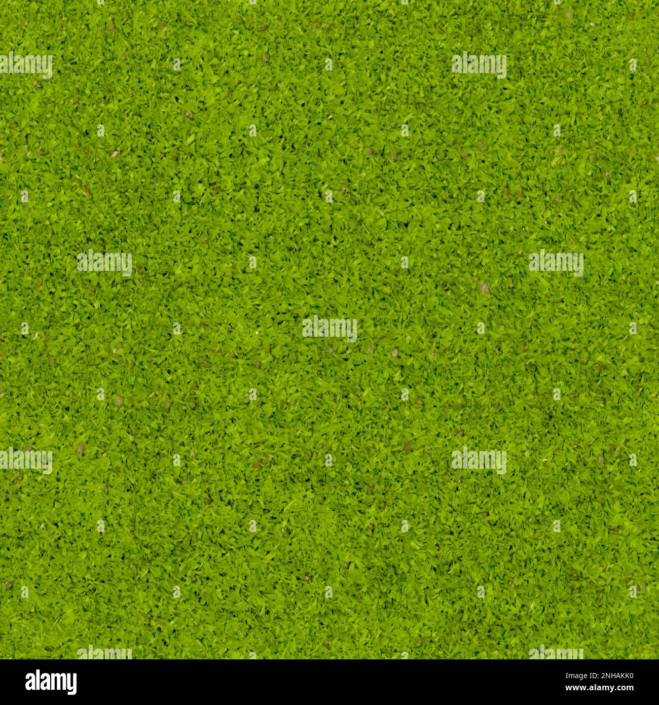 Grass texture background from above Stock Photo - Alamy