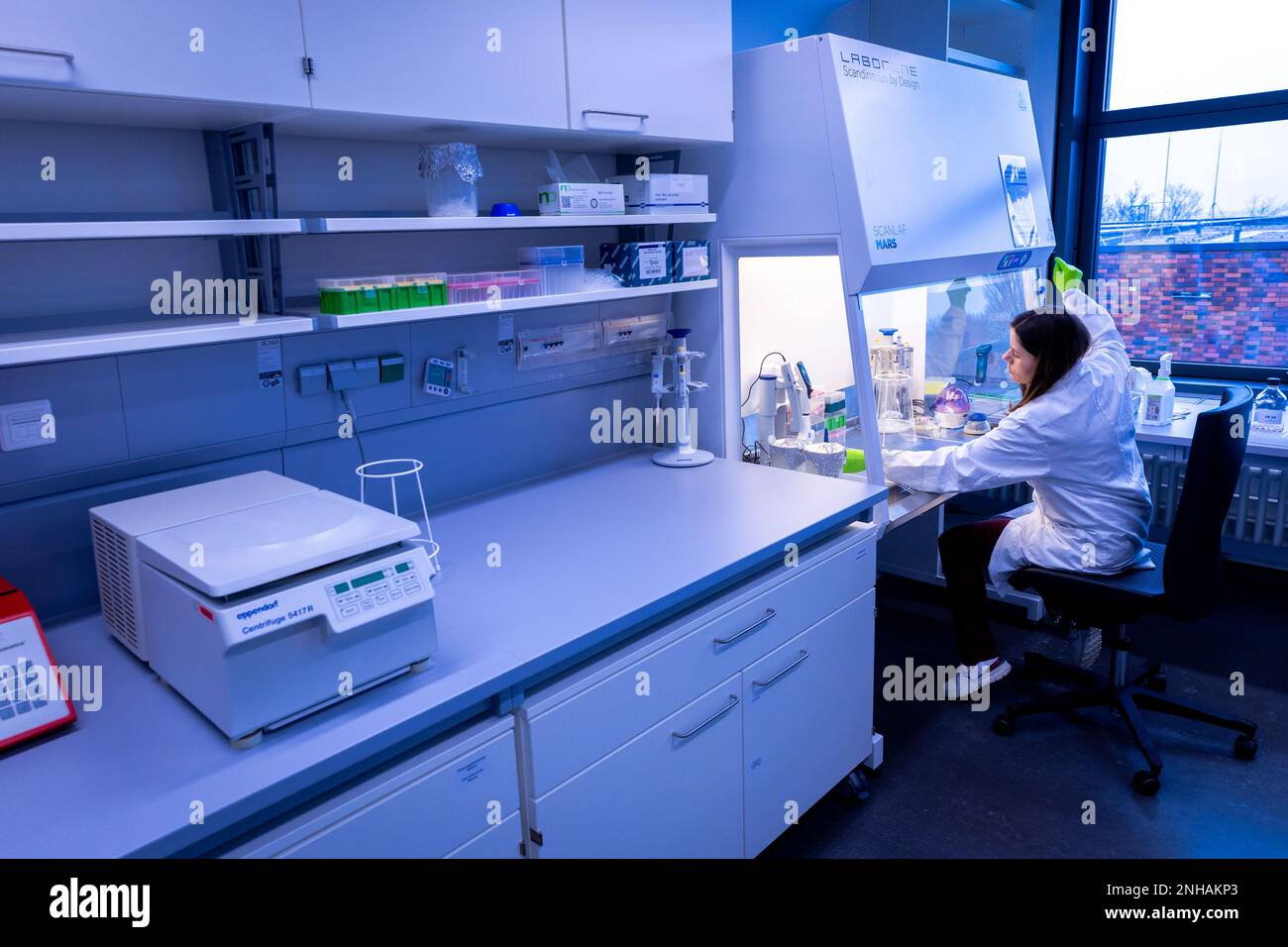 Riems, Germany. 31st Jan, 2023. Mandy Schäfer prepares a molecular ...