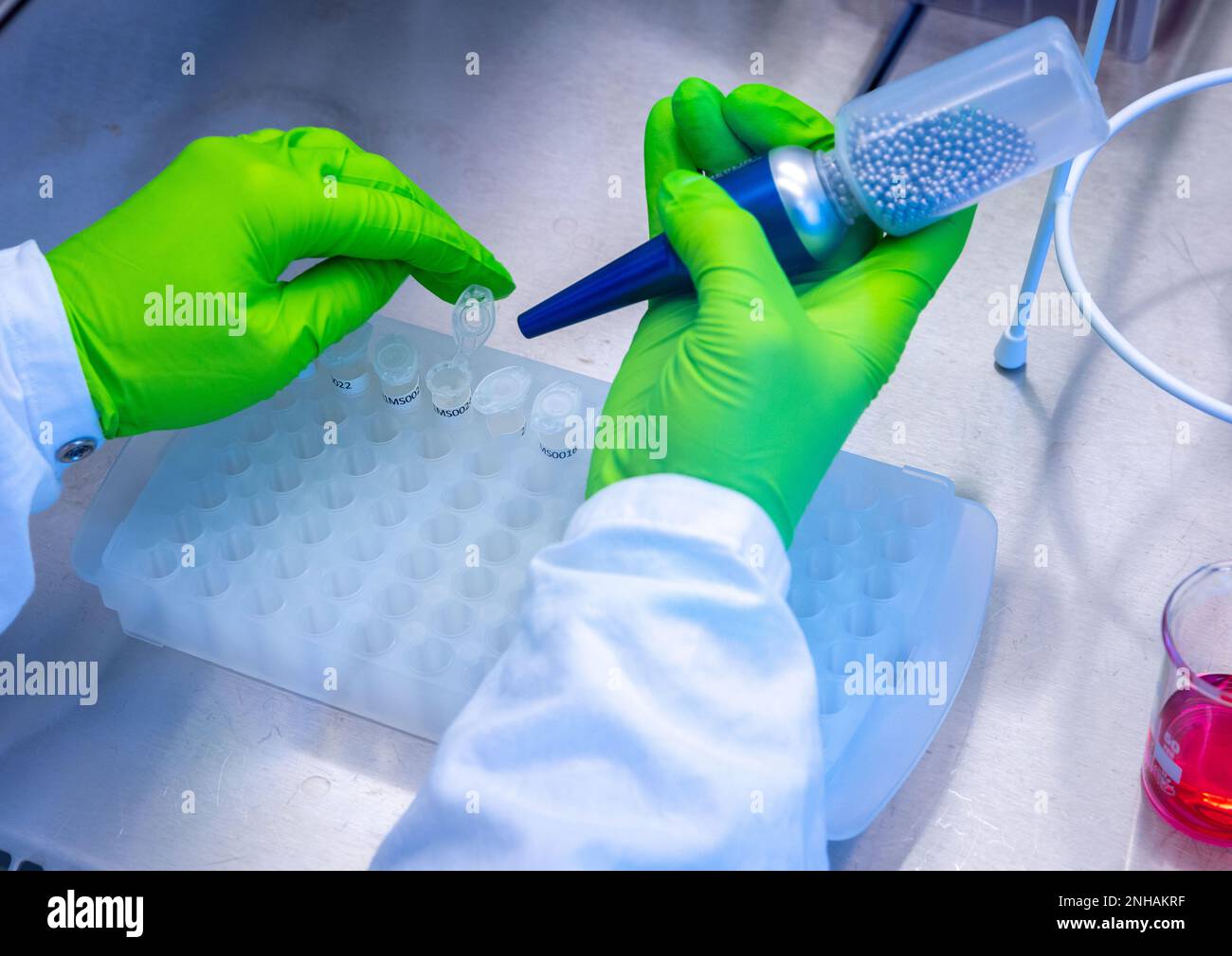 Riems, Germany. 31st Jan, 2023. Mandy Schäfer prepares a molecular ...