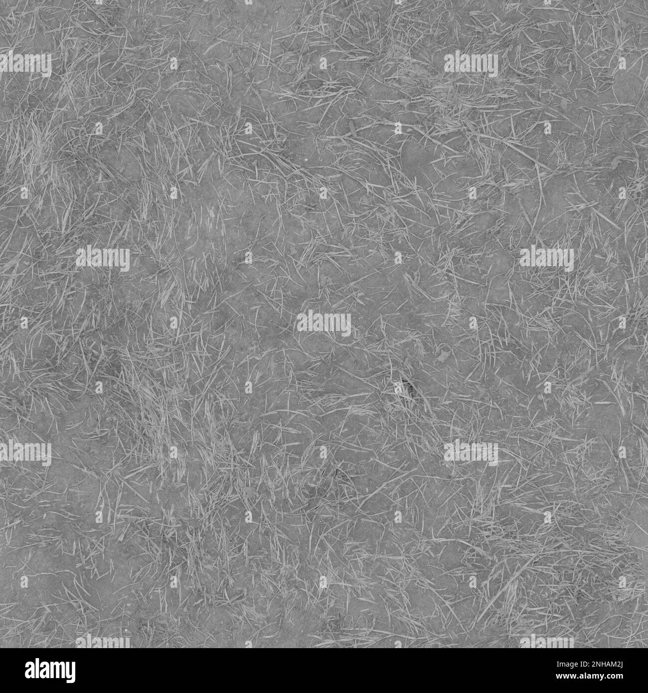 Bump map Dried grass texture, Gloss mapping Dried grass Stock Photo - Alamy