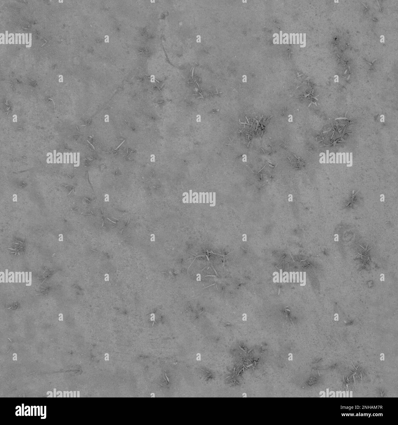 Bump map Dried grass texture, Gloss mapping Dried grass Stock Photo - Alamy