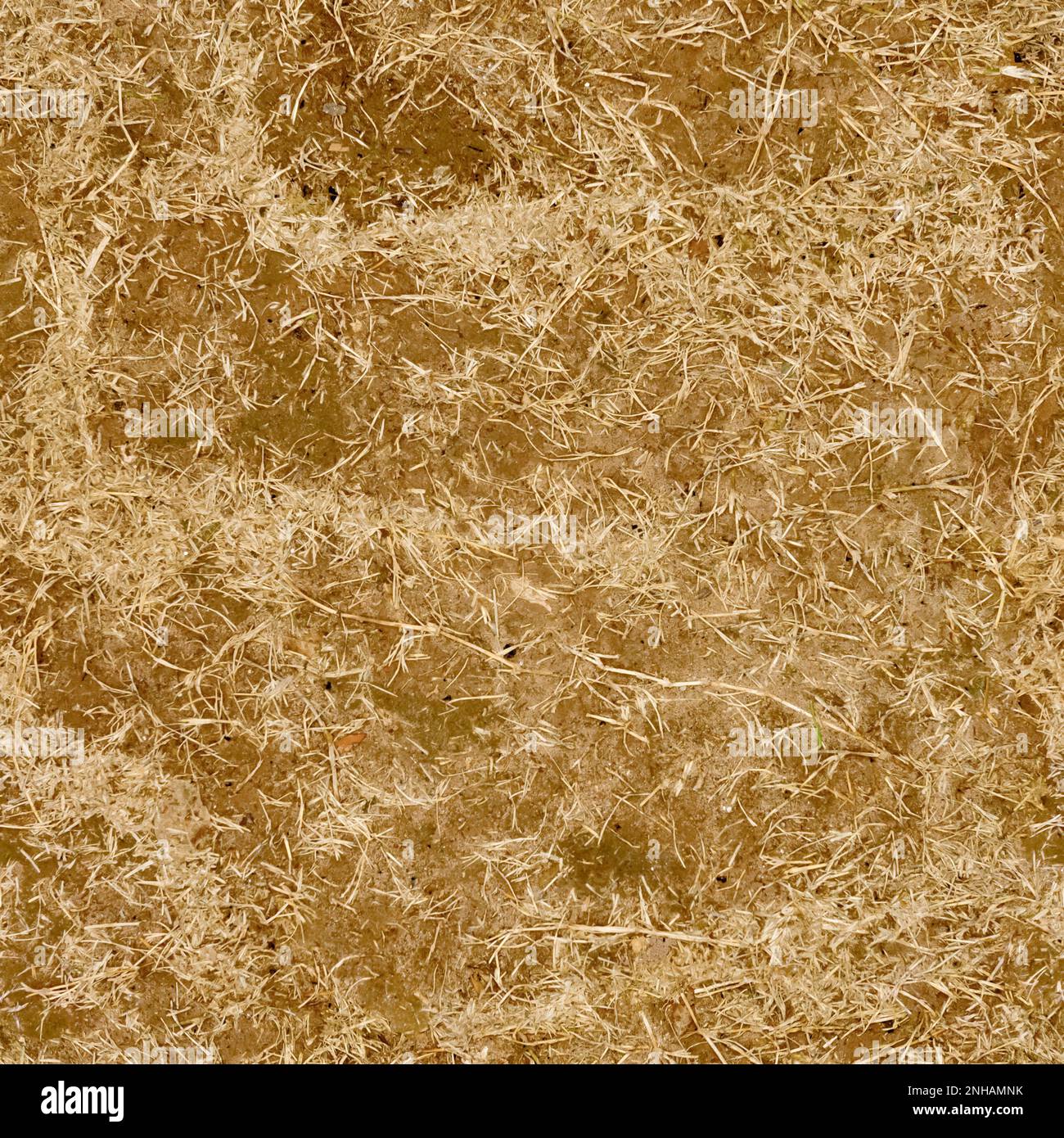 Dried grass texture background in summer from above Stock Photo - Alamy
