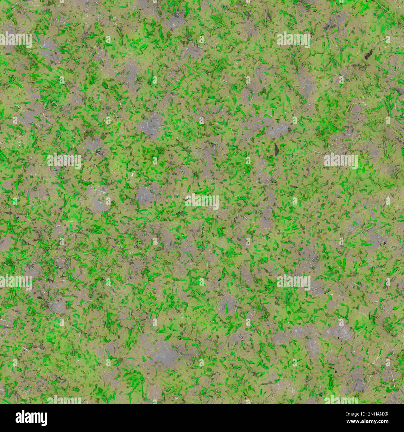 Grass cut texture background from above Stock Photo - Alamy