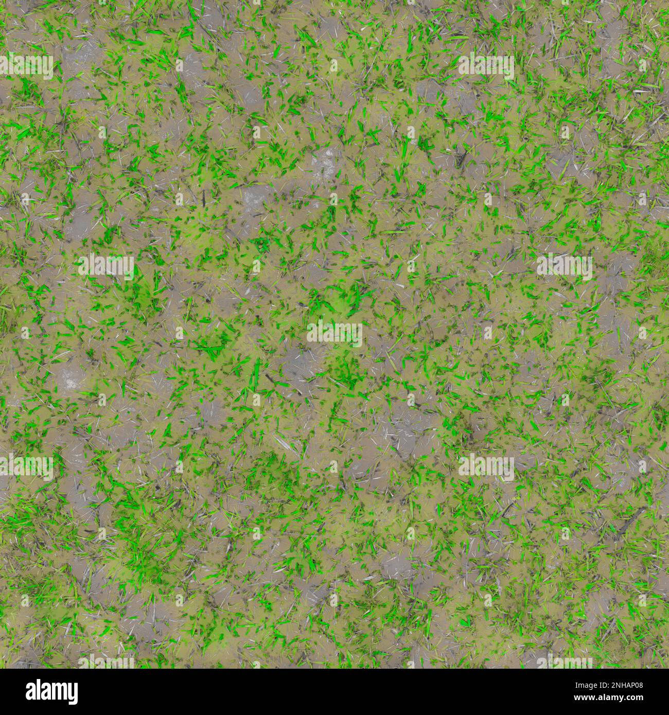 Grass cut texture background from above Stock Photo - Alamy