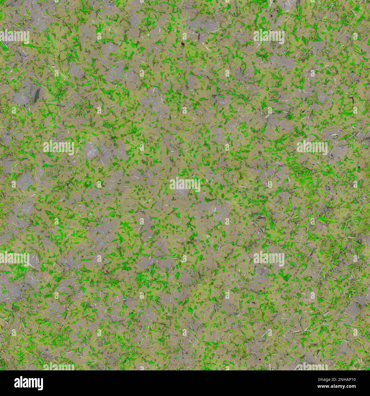 Grass cut texture background from above Stock Photo - Alamy
