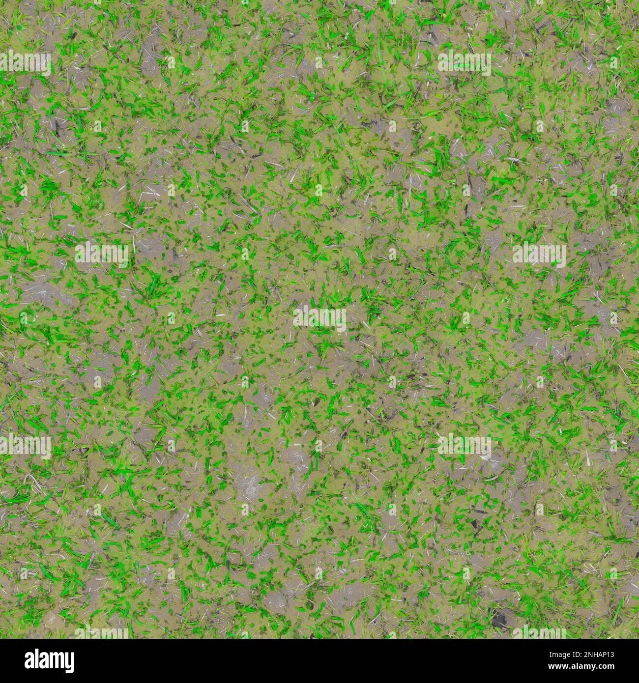 Grass cut texture background from above Stock Photo - Alamy