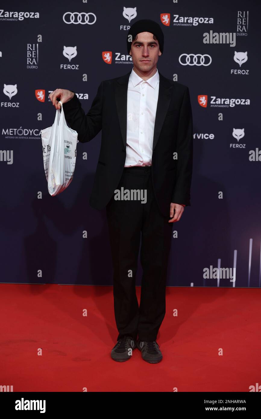 Actor Àlex Monner poses on the red carpet prior to the gala of the X ...
