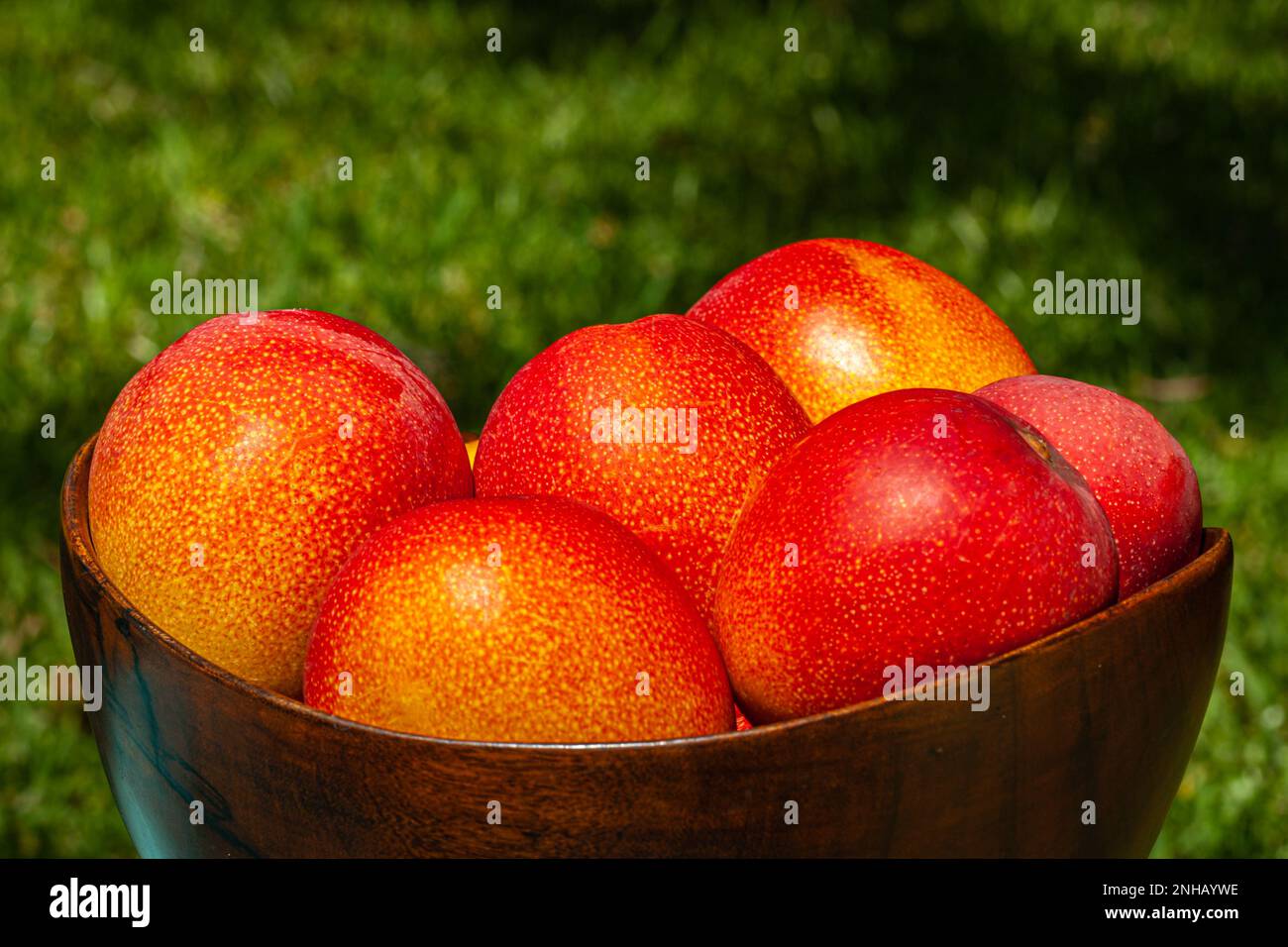 Fresh, ripe, mangoes in wooden bowl outdoors Stock Photo - Alamy
