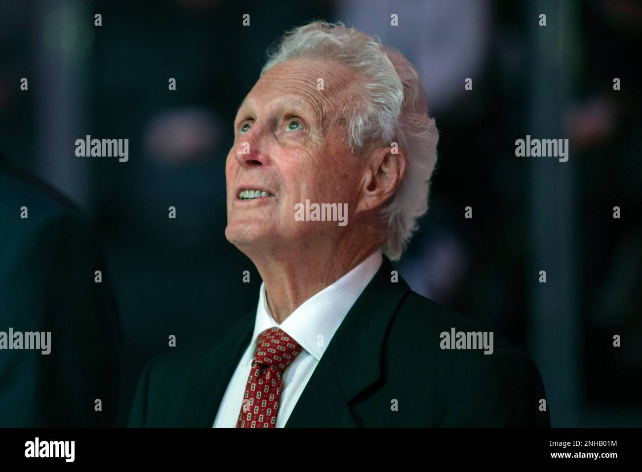 FILE - Paul Henderson watches the videoboard during a pregame ceremony ...