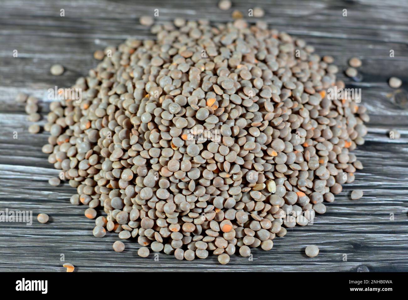 Brown lentils, The lentil (Lens culinaris or Lens esculenta), an edible ...