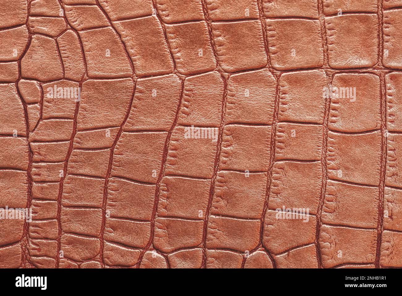 Texture of genuine leather close-up embossed under brown skin reptile ...