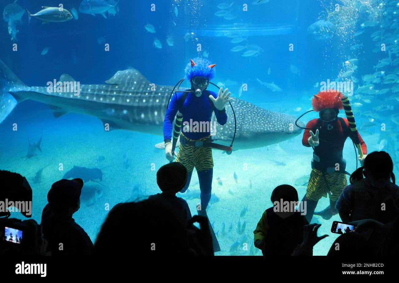 Divers wearing devil costumes welcome visitors in a giant fish tank at ...