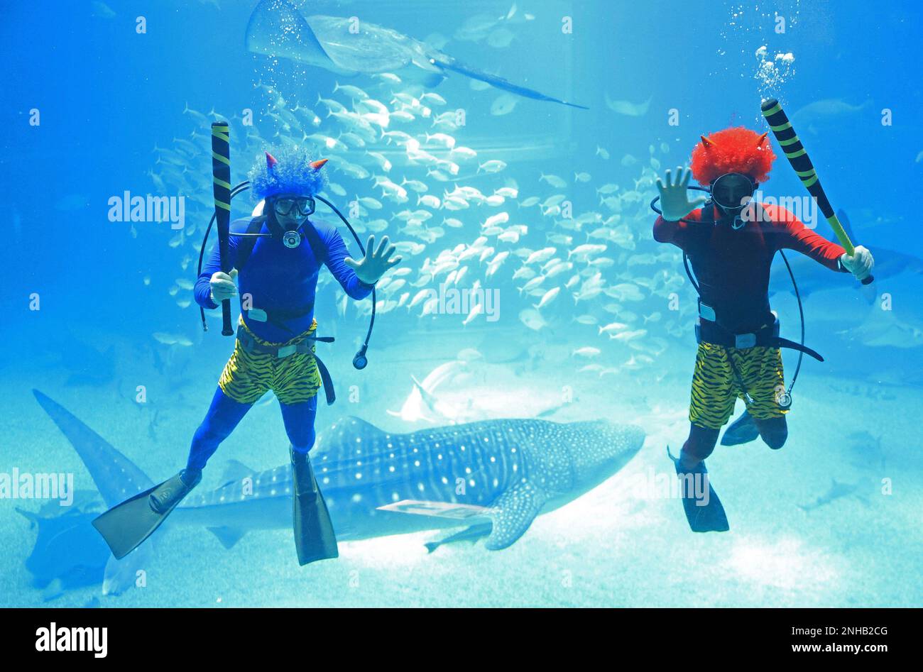 Divers wearing devil costumes welcome visitors in a giant fish tank at ...