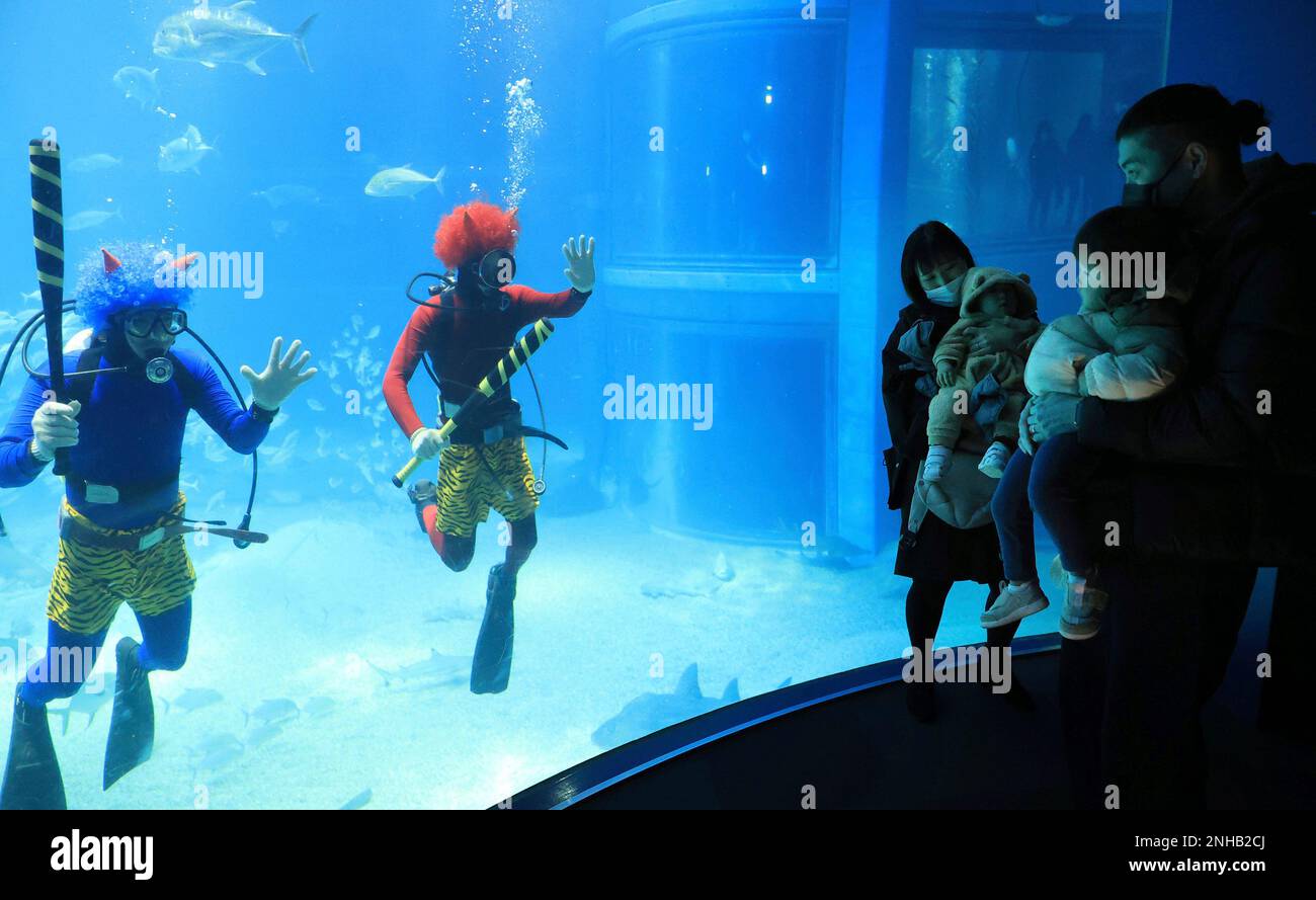 Divers wearing devil costumes welcome visitors in a giant fish tank at ...
