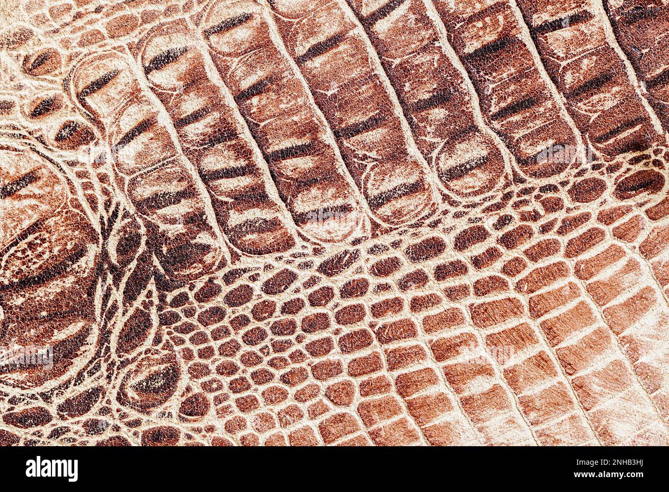 Genuine leather close-up, texture embossed under skin of reptile ...